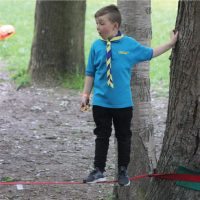 Activities – Frylands Wood Scout Outdoor Centre